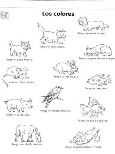 Los animales y los colores | Teaching Resources
