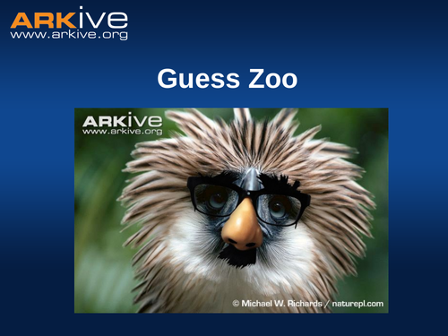 Guess Zoo | Teaching Resources
