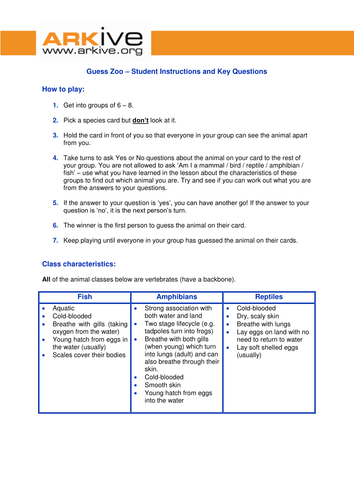 Classification - Guess Zoo & Insect Classification | Teaching Resources