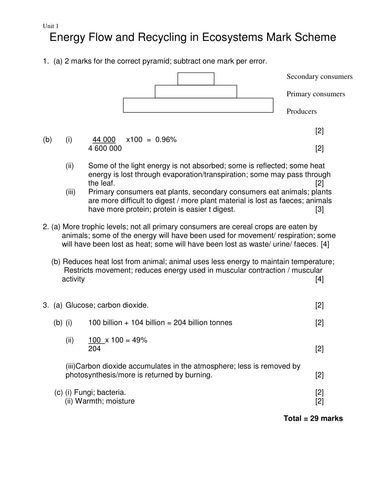 Energy Flow and Recycling in Ecosystems test | Teaching Resources