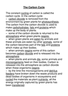 Carbon Cycle Cloze | Teaching Resources