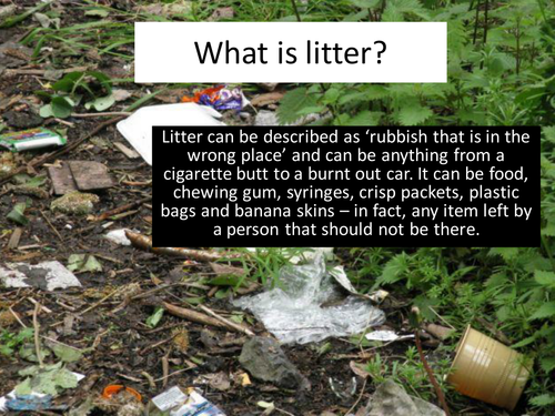 Litter Assembly | Teaching Resources
