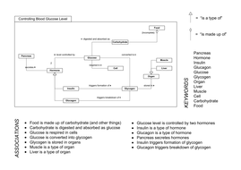 Control of Blood Sugar Concept Map | Teaching Resources
