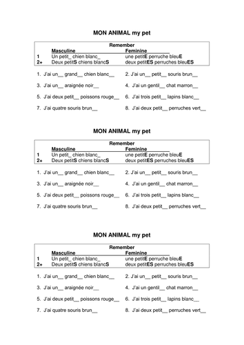 pets and adjectival agreements in French | Teaching Resources