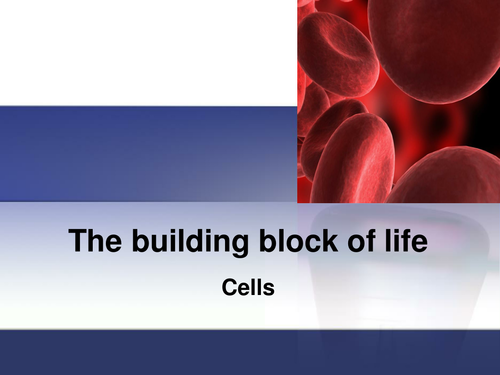 Cells: The building blocks of life | Teaching Resources
