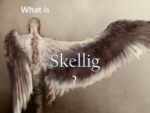 Skellig 5 | Teaching Resources