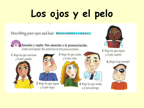 Los ojos, el pelo y la talla | Teaching Resources