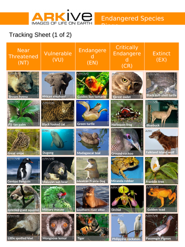 An Introduction to Endangered Species | Teaching Resources
