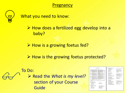 Pregnancy | Teaching Resources