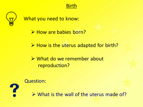 Birth | Teaching Resources