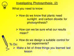 Investigating Photosynthesis | Teaching Resources