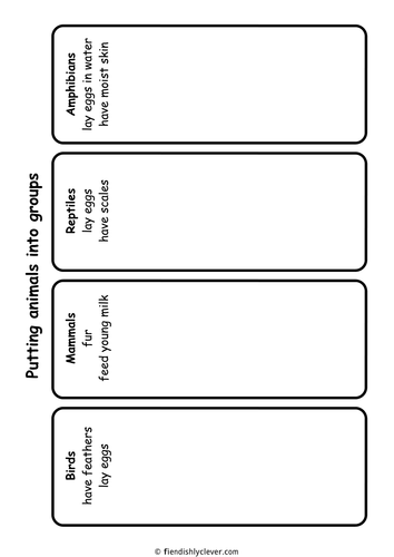 Putting Animals into Groups | Teaching Resources