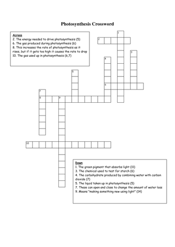 Photosynthesis Crossword | Teaching Resources