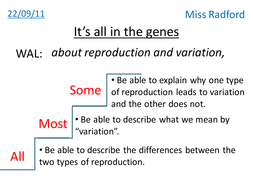 Lesson on variation with fun starter activity | Teaching Resources