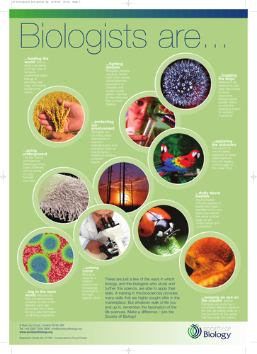 Biologists careers poster | Teaching Resources
