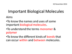 Introduction to Biological Molecules | Teaching Resources