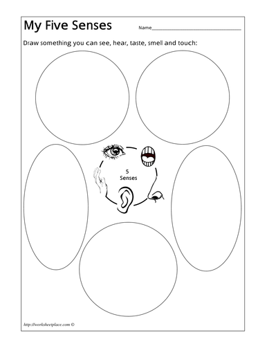 Senses, Hearing, Sight, Taste, Smell, Touch | Teaching Resources