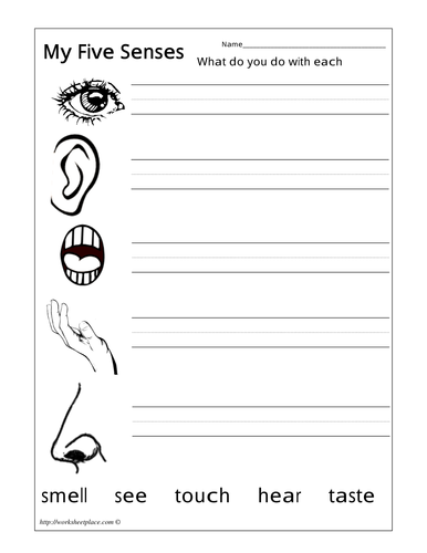 Senses, Hearing, Sight, Taste, Smell, Touch | Teaching Resources