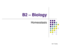 Biology B2 Revision (Part 7) | Teaching Resources