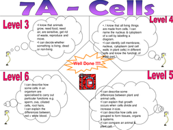 Level descriptors | Teaching Resources