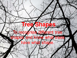 Tree Shape & Identification of Trees by moragmckimmon - Teaching ...