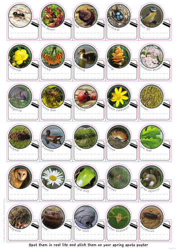 Spring Spots | Teaching Resources