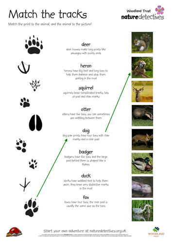 Match the animal tracks | Teaching Resources