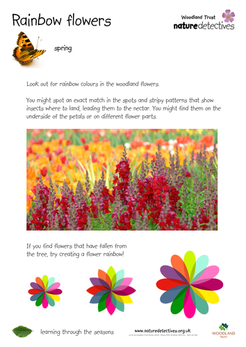 Flowers - Rainbow Flowers | Teaching Resources