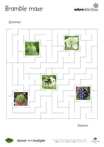 Acorn - Mazes | Teaching Resources