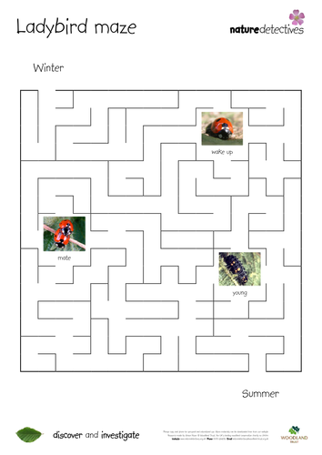 Acorn - Mazes | Teaching Resources