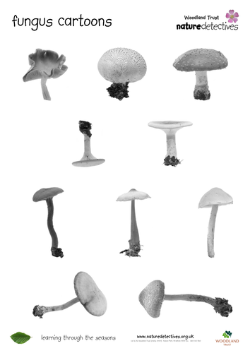 Fungus Cartoons | Teaching Resources