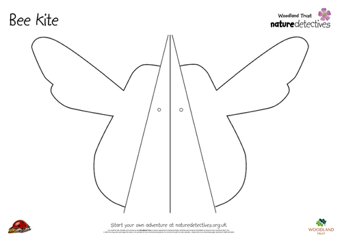Kites - Bee | Teaching Resources
