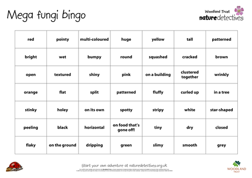 Fungi - Bingo | Teaching Resources
