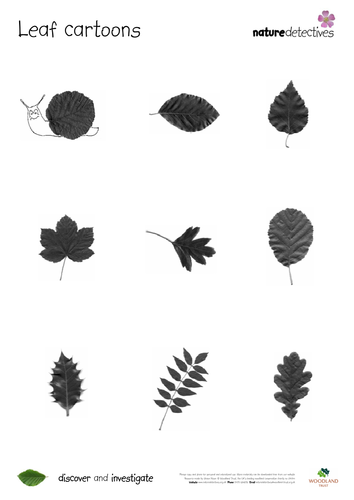 Leaves - Leaf Cartoons | Teaching Resources