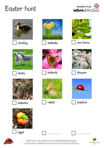 Hunt - Easter Hunt | Teaching Resources