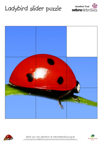 Ladybird slider puzzle | Teaching Resources