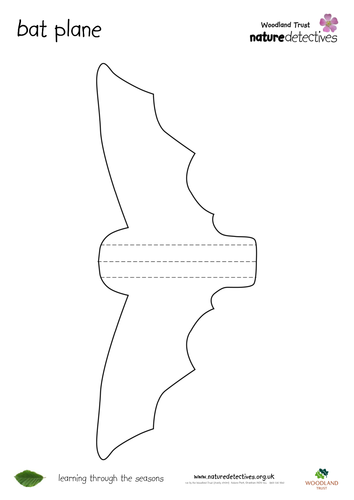 Bat Plane | Teaching Resources