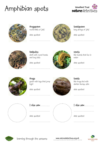 Amphibian hunt | Teaching Resources