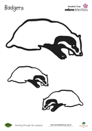 Badger Outline by naturedetectives | Teaching Resources
