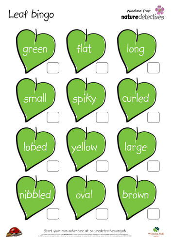 Leaf Bingo | Teaching Resources