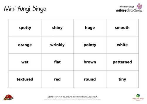 Fungi Bingo | Teaching Resources