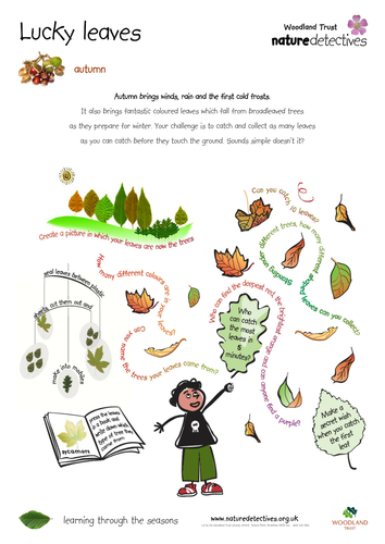 Lucky Leaves | Teaching Resources