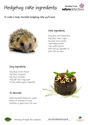 Recipes - Hedgehog Cake | Teaching Resources