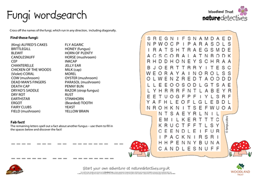 Fungi Word Search | Teaching Resources