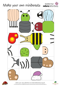 Make your own minibeasts! by naturedetectives - UK Teaching Resources - TES