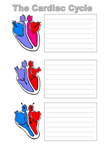 Cardiac Cycle - AQA As Biology by hannahradford - UK Teaching Resources ...