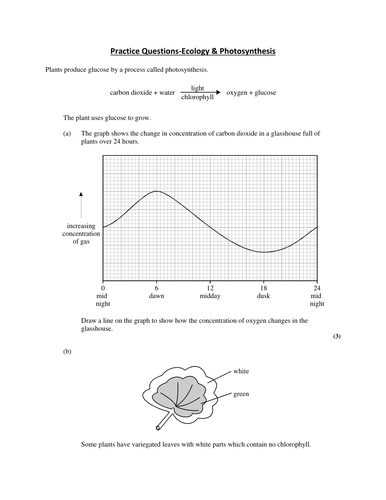 Ecology & Photosynthesis Practice Questions & MS | Teaching Resources