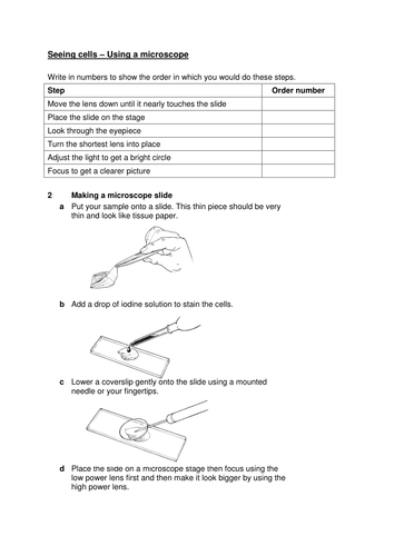 Intro lesson to cells - Year 7 | Teaching Resources