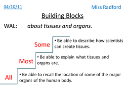 Cells, tissues & organs - Year 7 | Teaching Resources