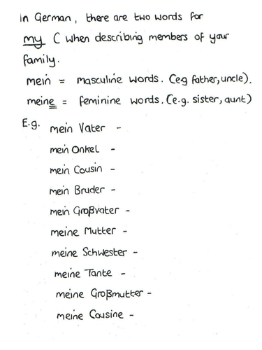 Die Familie - intro & use of mein / meine | Teaching Resources